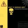 Mariana Web - Does It Really Exist?